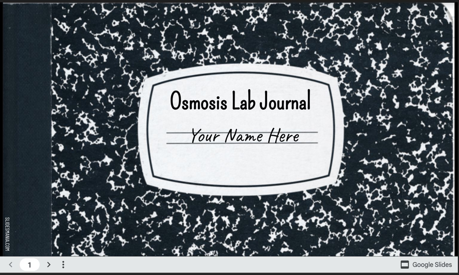 Google Slides interactive notebooks + 20 activities to fill them ...