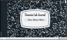 Google Slides interactive notebooks + 20 activities to fill them ...