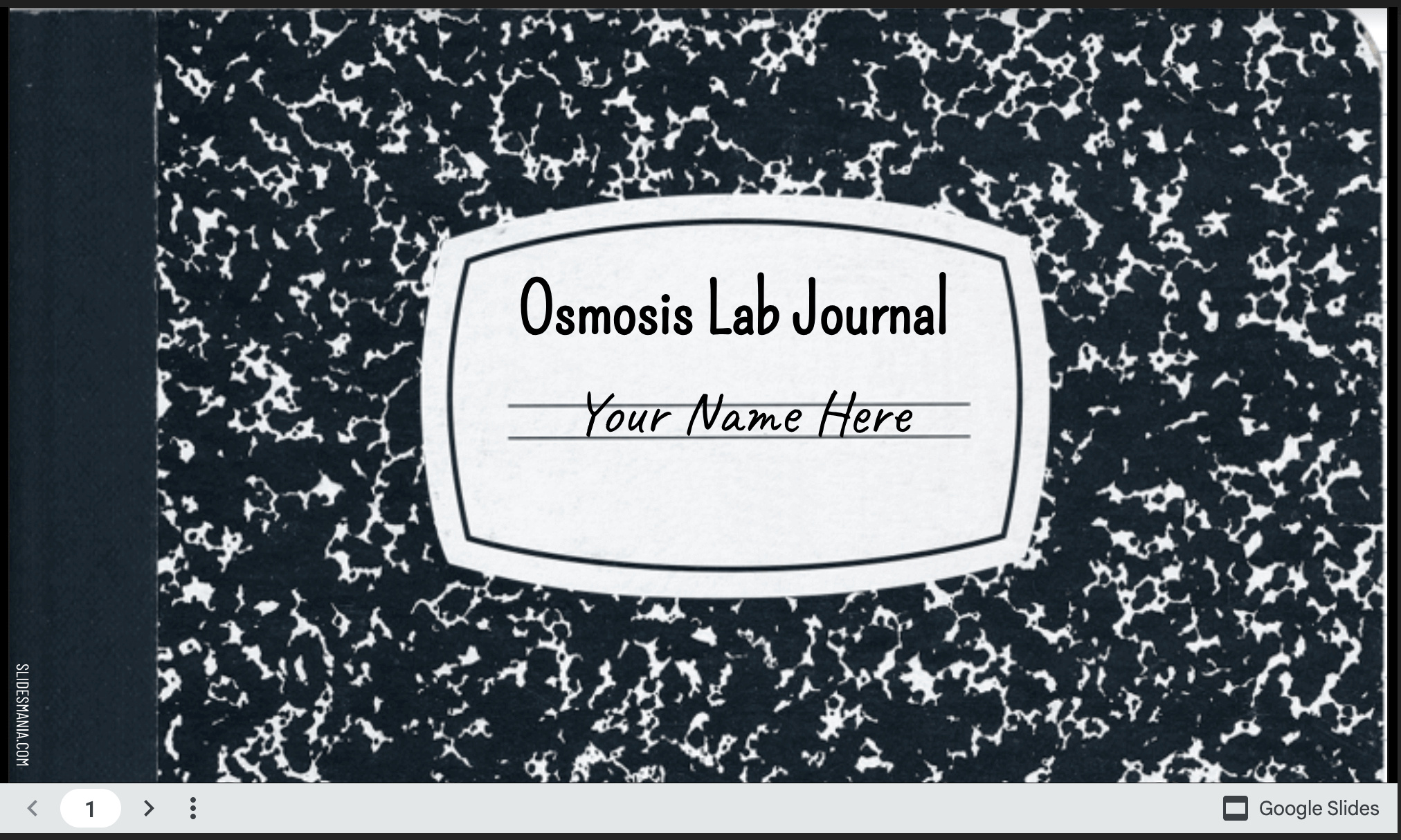 Google Slides interactive notebooks + 20 activities to fill them ...